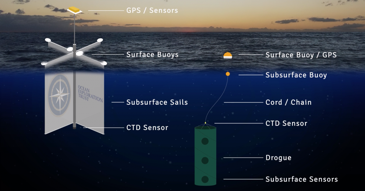 Ocean Drifters Teaching Animation | Nautilus Live
